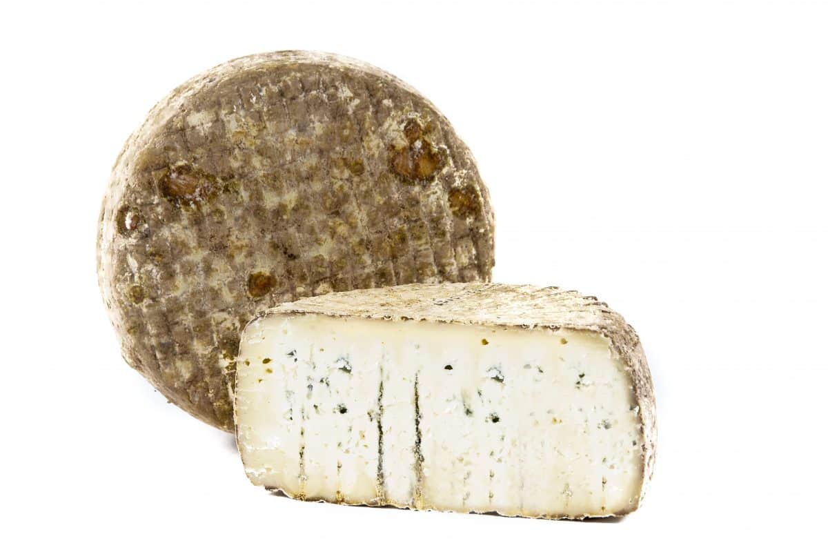 Blu di Capra Stagionato – Giolito Cheese